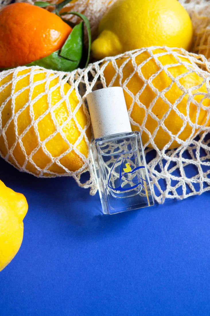 Shop Designer Fashion Brands